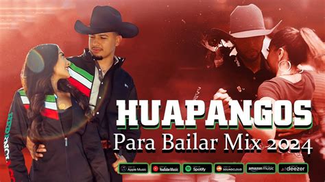 Mix De Huapangos 2024 Popurri De Huapangos Chingones Mix Huapangos