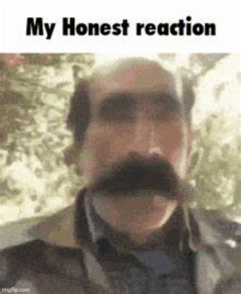 My Honest Reaction Blank Template Imgflip