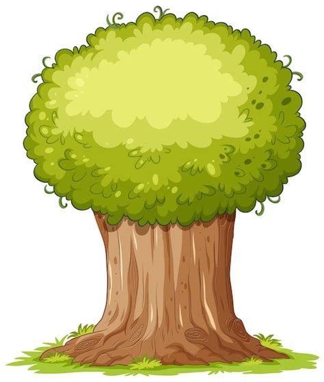 Dibujos animados de árbol simple aislado Vector Premium