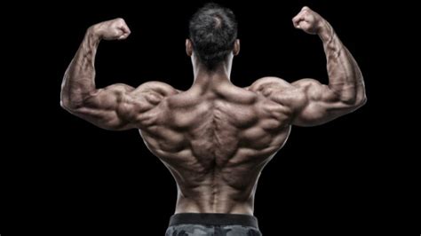 Fortalece tu espalda con estos 4 ejercicios básicos