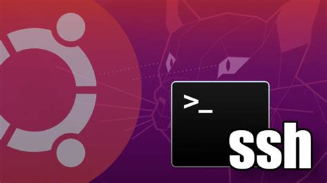 C Mo Instalar Ssh En Ubuntu Paso A Paso