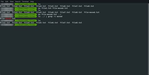 12 essential linux commands for newbies