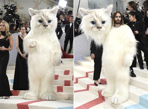 Es Furro Sorprende Jared Leto Con Disfraz De Gato En La Met Gala