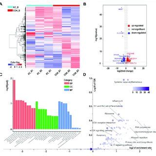 Hierarchical Cluster Analysis Of Differentially Expressed Genes In