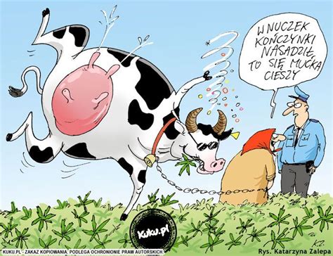 KUKU pl komiksy dowcipy rysunkowe i śmieszne rysunki Police humor