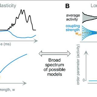Schematic Examples Of Synaptic Plasticity A Short Term Synaptic