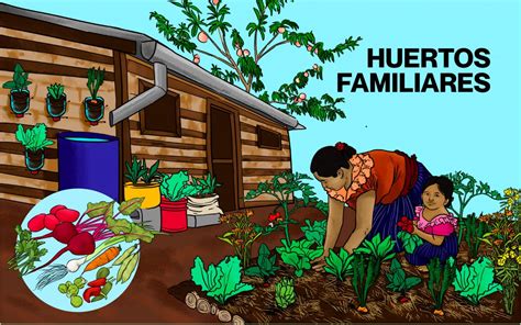 Huertos Familiares Vivamos Mejor