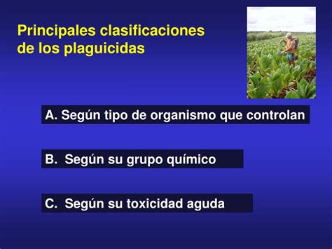 PPT ASPECTOS GENERALES DE LOS PLAGUICIDAS PowerPoint Presentation