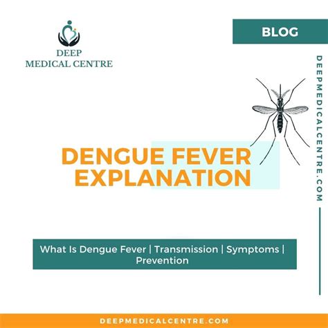 Dengue Fever Symptoms Causes Prevention And Treatments