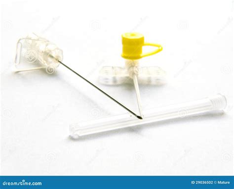 Intravenous Catheter Stock Photo Image Of Tube Healthcare 29036502
