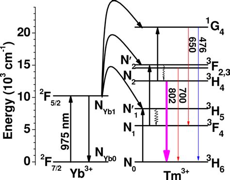 The Energy Level Diagrams Of The Yb 3 And Tm 3 Ions And The Proposed