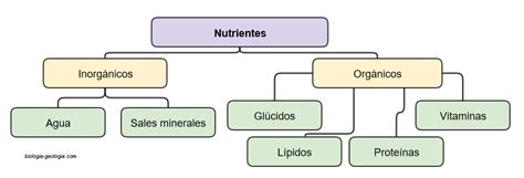 Nutrientes Mapa Conceptual Udocz Riset Modafinil24