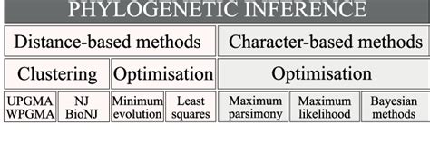 figure 1 from a memetic algorithm based on an nsga ii scheme for phylogenetic tree inference