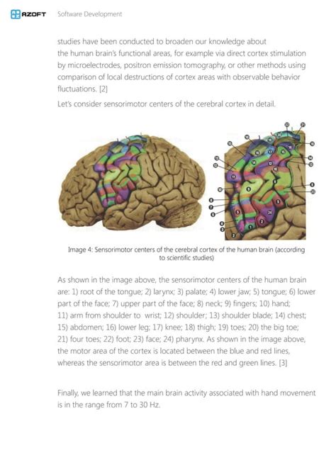 classification of eeg signals for brain computer interface pdf