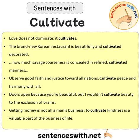 Examples Archives Page 7 Of 553 SentencesWith Net