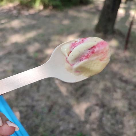 Vemondo Vegan Ice Cream Vanilla Forest Fruits Review Abillion