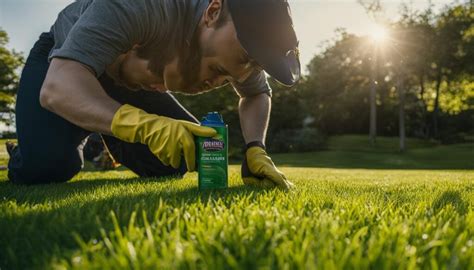 Will Spray Paint Kill Grass