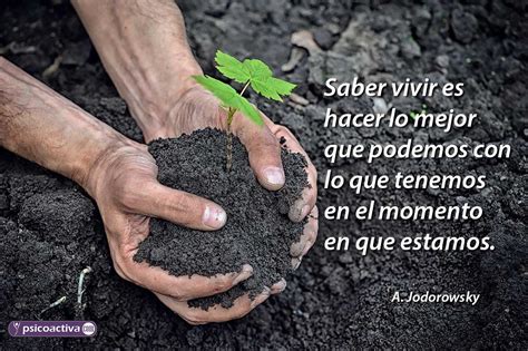 100 Frases y Pensamientos positivos para subir el ánimo