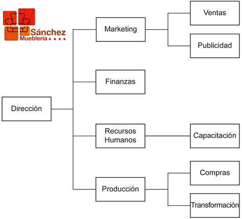 Organigrama De Una Empresa LAS BASES De Tu Negocio