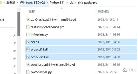 python连接oracle的问题如何解决 编程语言 亿速云