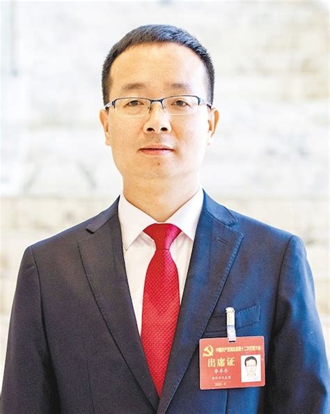 省党代表李阜乔让共同缔造理念成为共识 荆楚网 湖北日报网