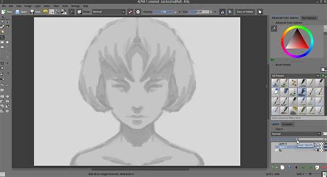 Getting Started With Krita David Revoy