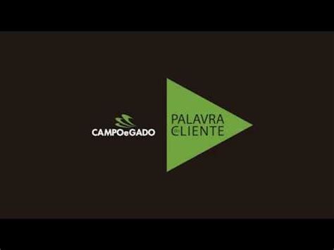Casa De Carnes Madalozzo CAMPOeGADO PalavraDoCliente YouTube