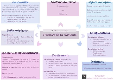 Fracture De La Clavicule Fiches IDE