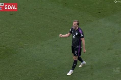 Harry Kane Goni Rekord Roberta Lewandowskiego Kolejny Gol Anglika