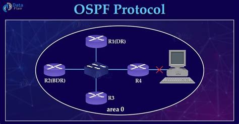Ospf Protocol Artofit