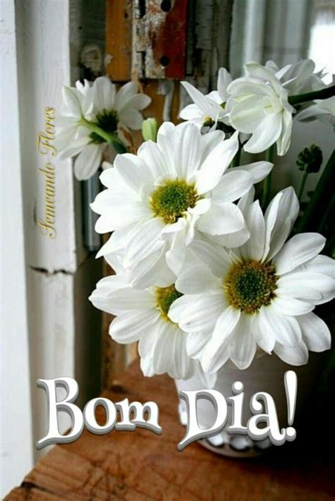 Frases e Imagens de Bom dia Flores para Renovar as Esperanças