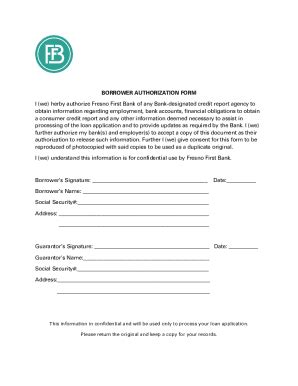 Fillable Online Borrower Authorization Form Fill Out And Sign