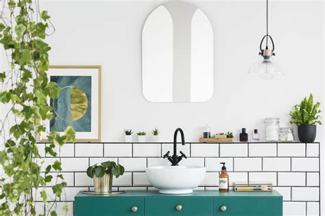 17 plantas para el baño Nombres características y FOTOS