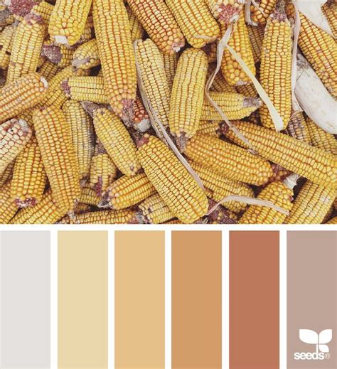 Wish Tones Seeds Color Palette Design Seeds Color Palette Color