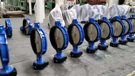 3 Inch Stainless Steel 304 Body Disc Seat EPDM Wafer Type Butterfly