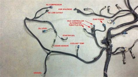 Ls Engine Swap Wiring Harness Diagram