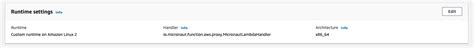 Lambda Native Image With Deserialization Error Issue 1376