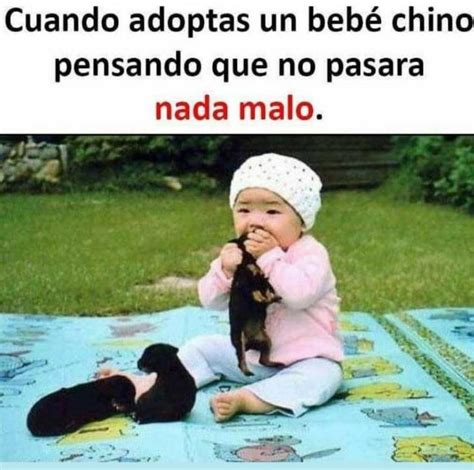 Cuando adoptas un bebé chino pensando que no pasará nada malo Memes