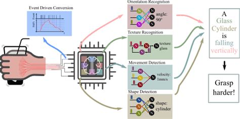 touch in robots a neuromorphic approach