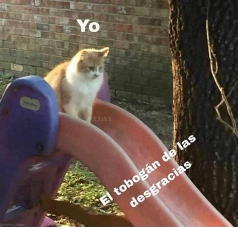 Yo tratando de entender la relación entre la frase motivadora y la foto