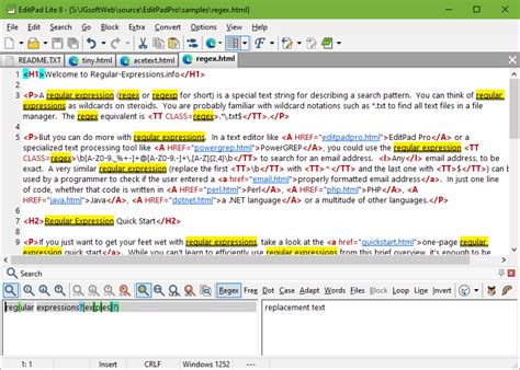 Text Editor With Advanced And Flexible Search And Replace