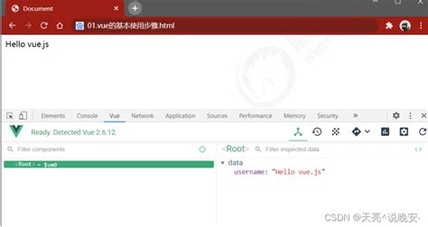 vue2【vue 简介、vue 的基本使用、vue 的调试工具】 vue调试工具 csdn博客