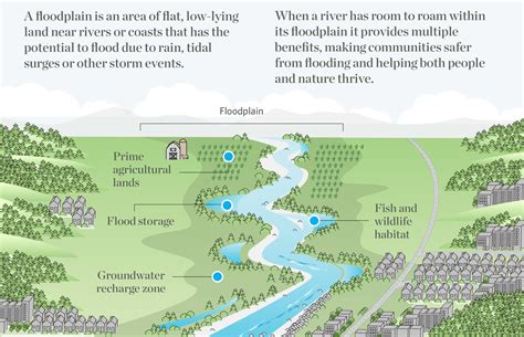 Two Minute Takeaway What Is A Floodplain The Nature Conservancy In