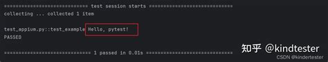 Pycharm Pytest Print