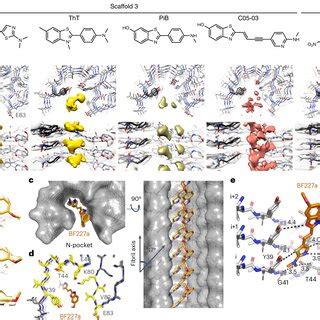 Cryo EM structure of the EBα syn fibril a Cryo EM density maps of the