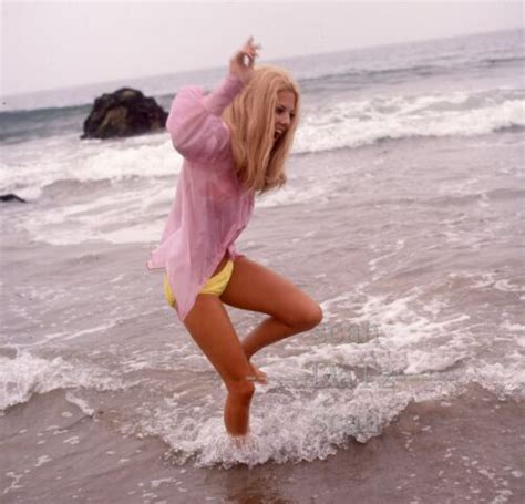 1960s Ron Vogel Transparency Sexy Pinup Girl Christina Hart Cheesecake V203622 Ebay
