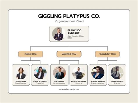 Organisational Structure Diagram Template 40 Organizational