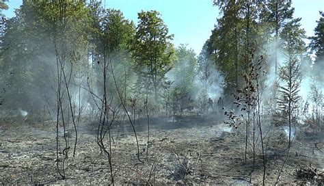 Waldbrand im Kreis Haßberge Feuerwehr kämpft mit Großaufgebot gegen