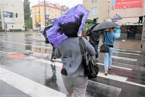IMGW ostrzega przed silnym wiatrem na Dolnym Śląsku