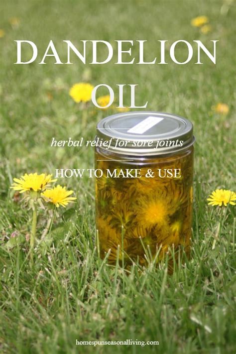 How To Make Dandelion Tea All You Need Infos